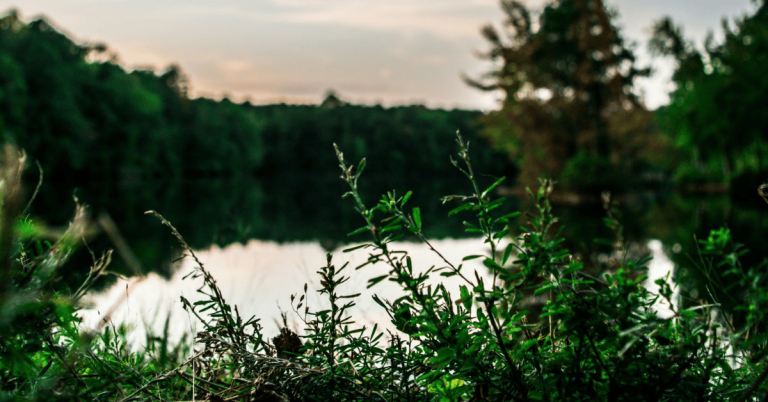 Clift Farm Huntsville: A Unique Blend of Rural Charm & Modern Living