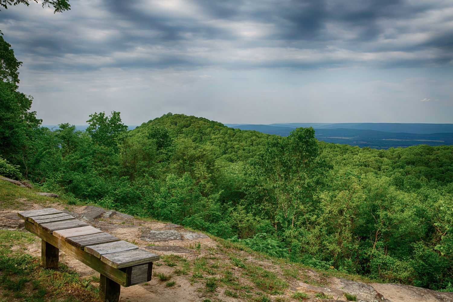 What to Expect When Moving to Madison County AL | Armstrong Huntsville